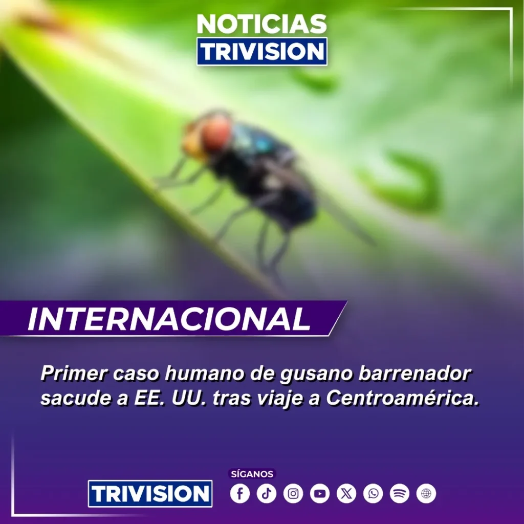 EE. UU. confirma primer caso humano de gusano barrenador