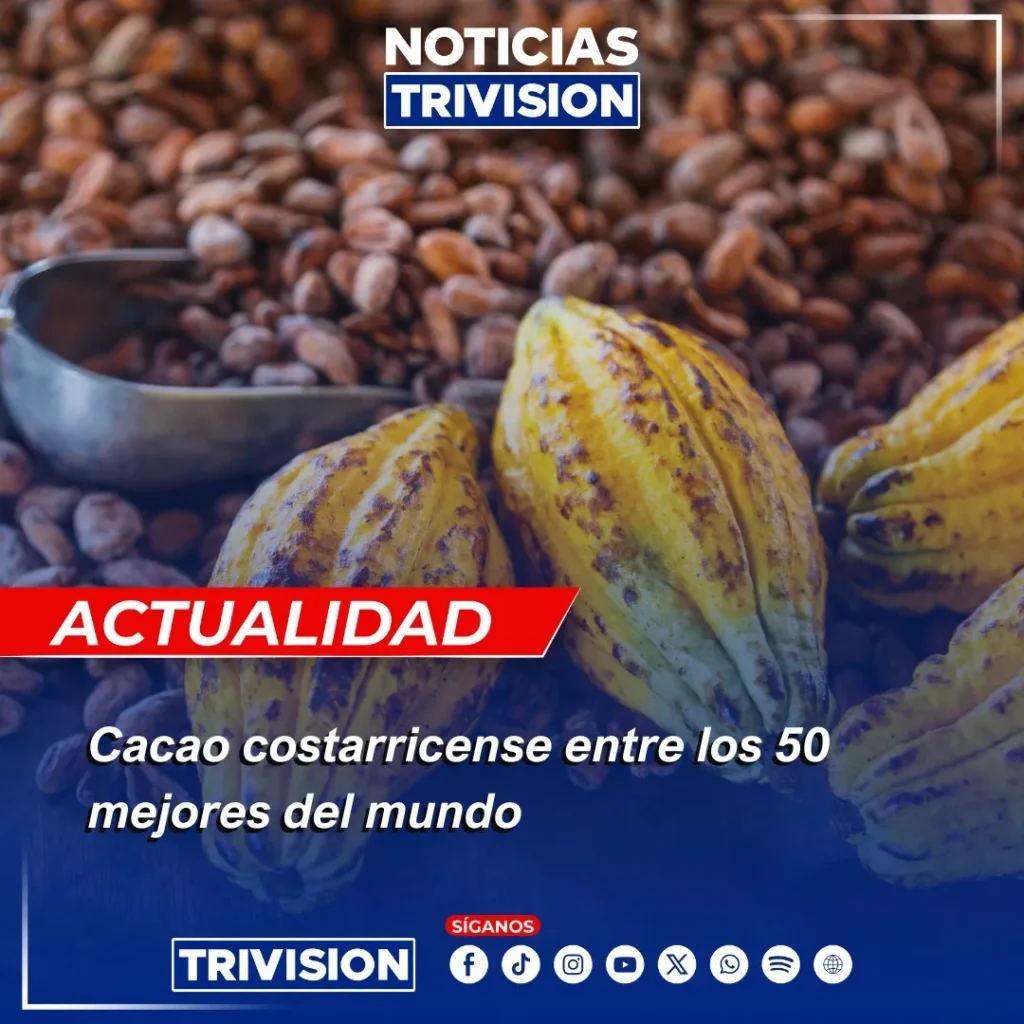 Cacao costarricense entre los 50 mejores del mundo en 2025
