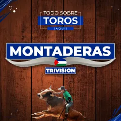 Toros Trivisión