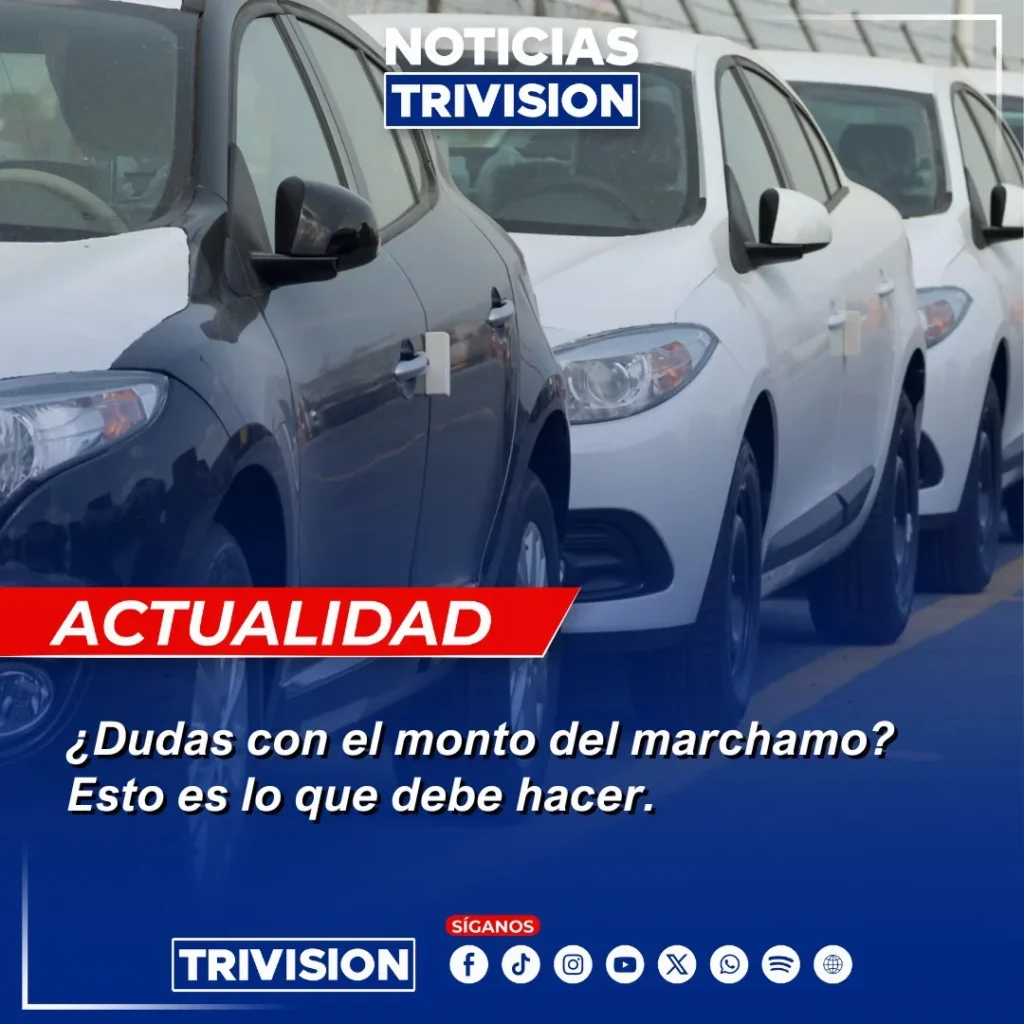 Marchamo 2026: consultas superan 3 millones en el INS